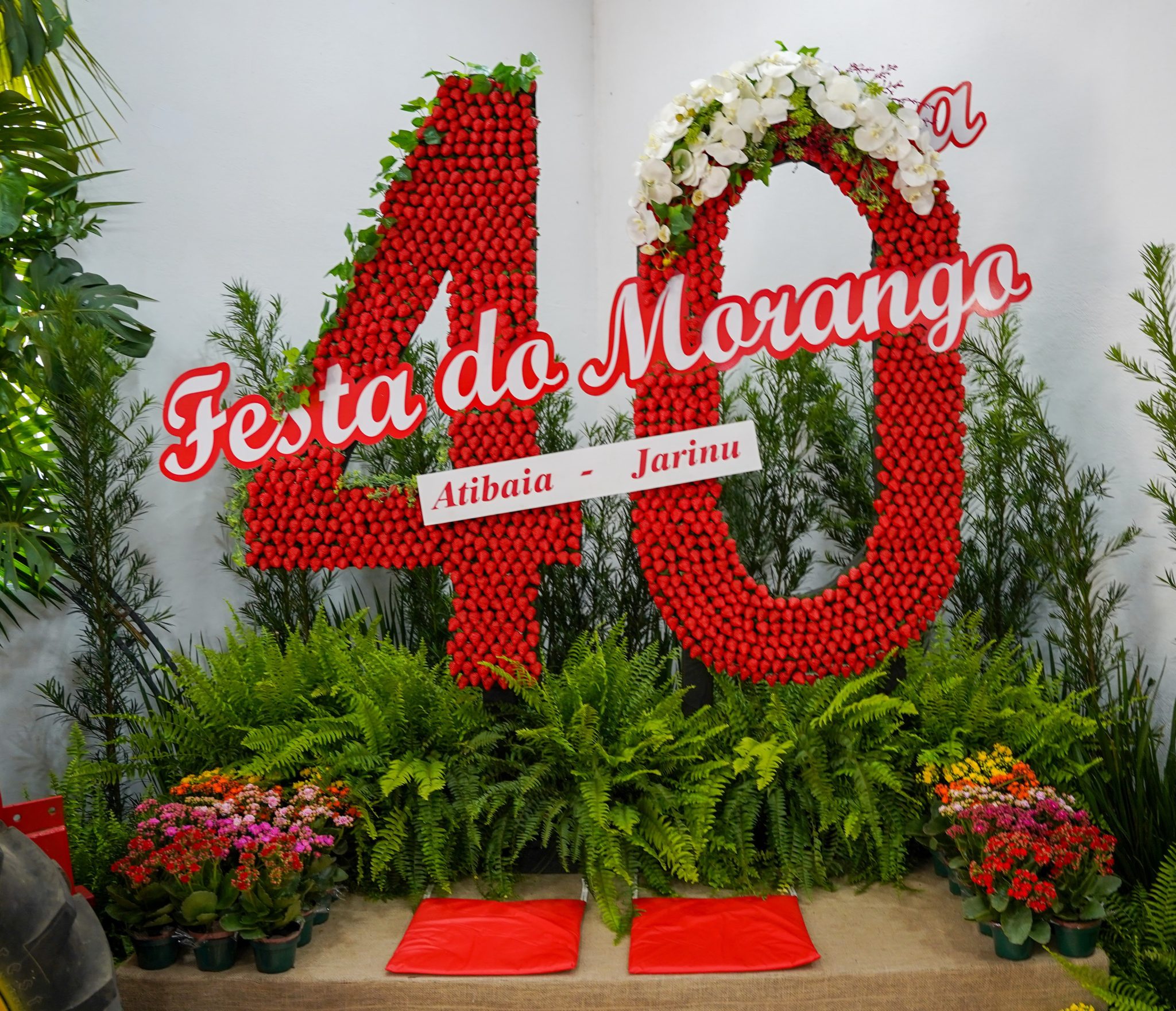 Mais de 28 mil pessoas já passaram pelo Parque Duílio Maziero durante ...